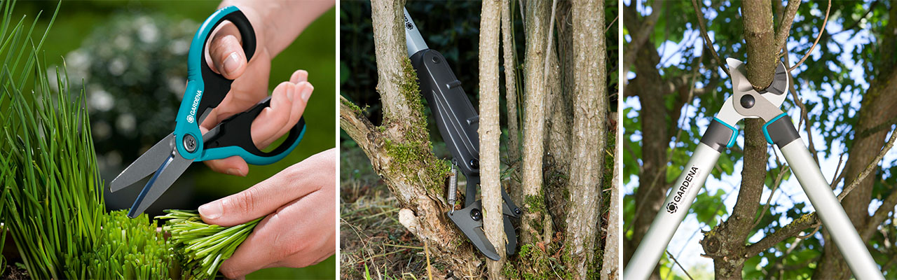 Guide to garden cutting tools | Mitre 10