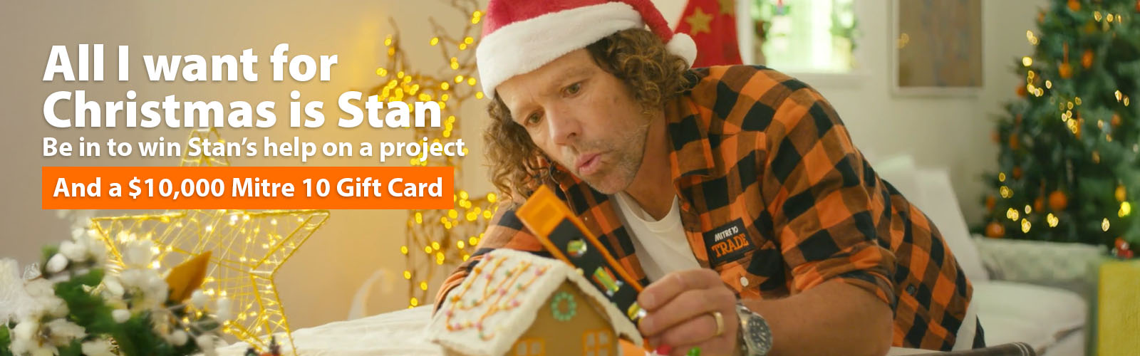 All I want for Christmas is Stan - Be in to win Stan's help on a project