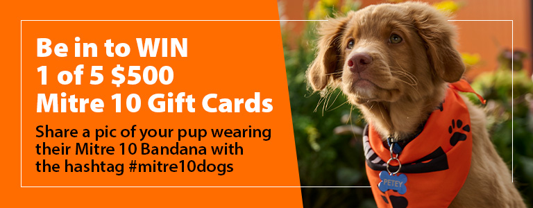 Get your dog a free bandana from your local Mitre 10