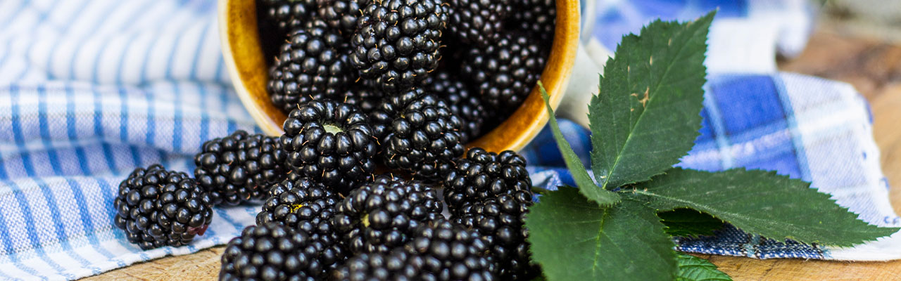 Our top five favourite berry fruit | Mitre 10