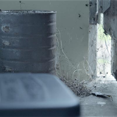 Helping Hands - Pet friendly space for SHINE Refuge Centre