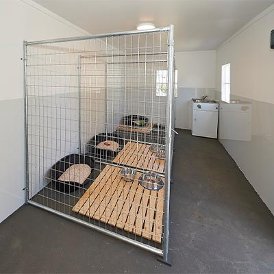 Helping Hands - Pet friendly space for SHINE Refuge Centre