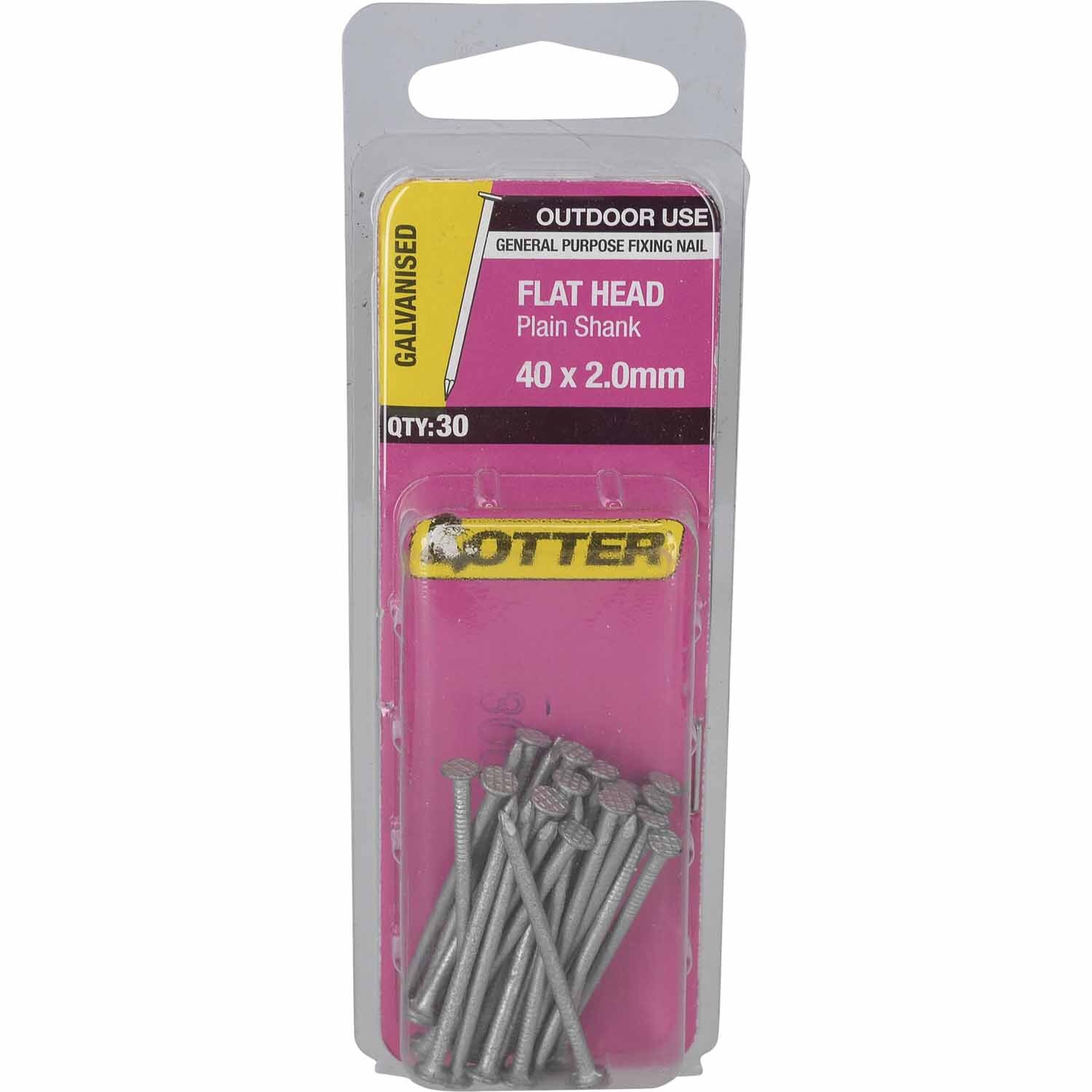Otter | Flat Head Nails 40 x 2.0mm Galvanised | Mitre10