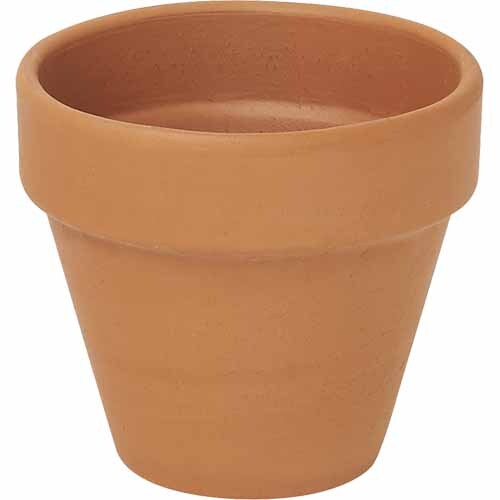 Deroma | Italian Vasi Pot 11cm Terracotta | Mitre10