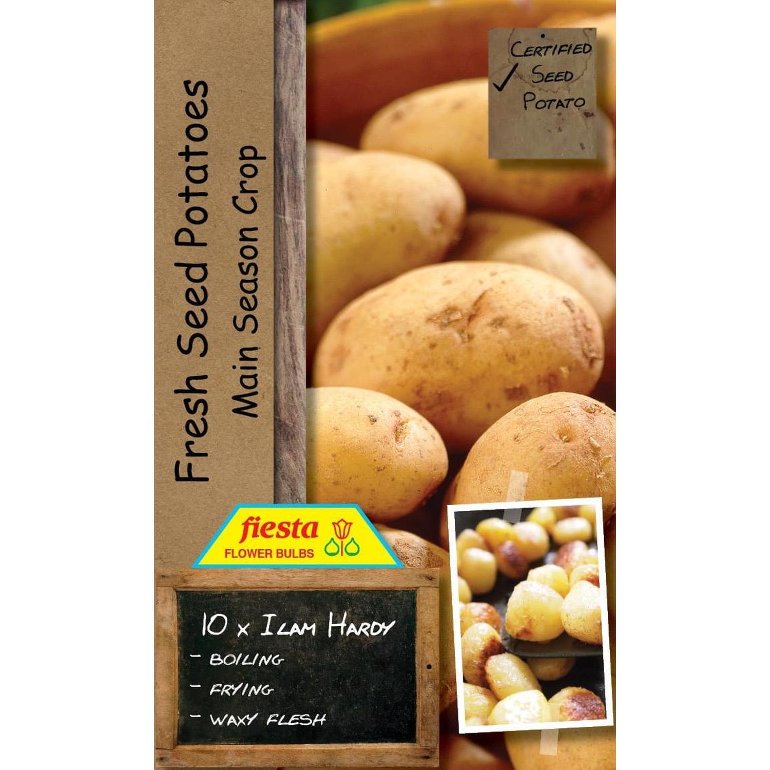 Seed Potato Ilam Hardy 10 pack | Seed Potatoes