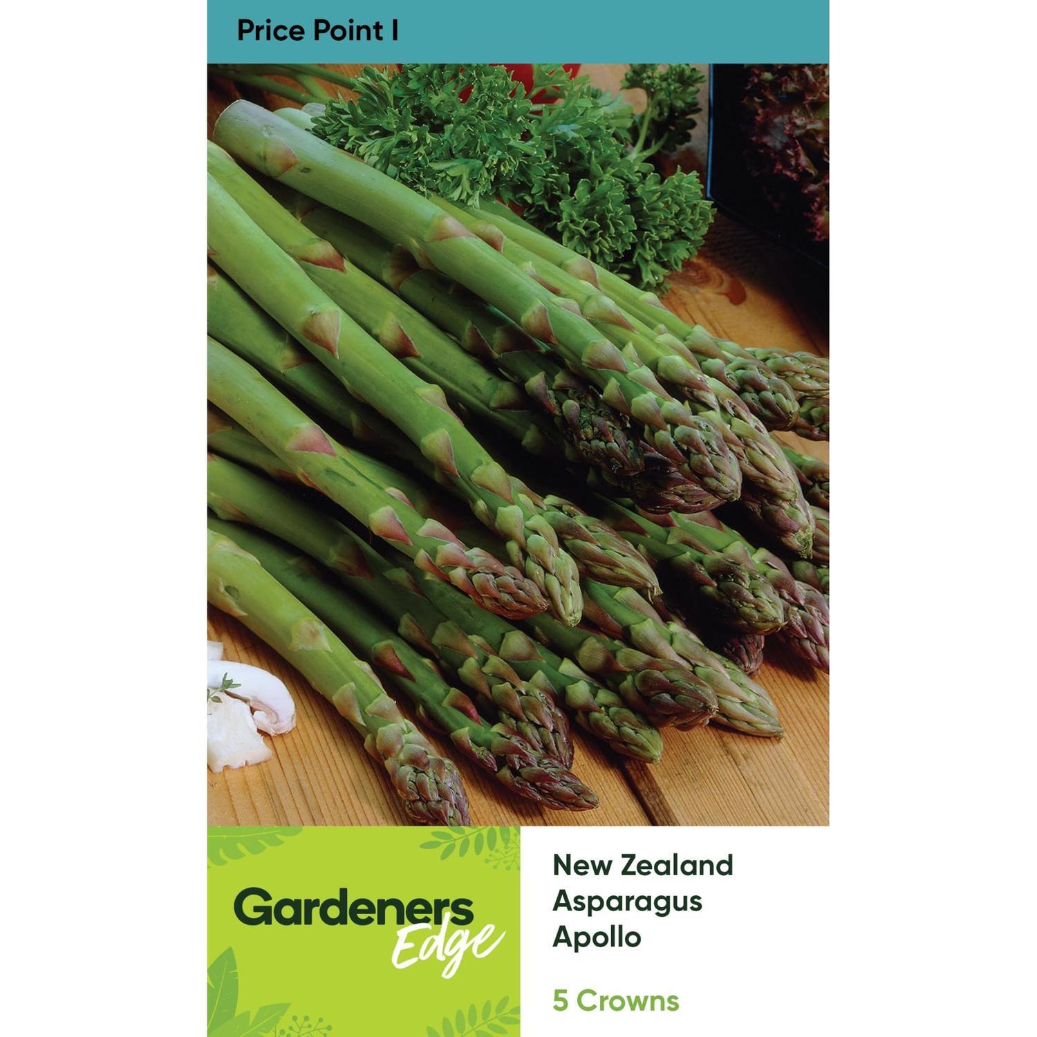 Gardeners Edge | Asparagus Apollo Pack of 5 | Mitre10