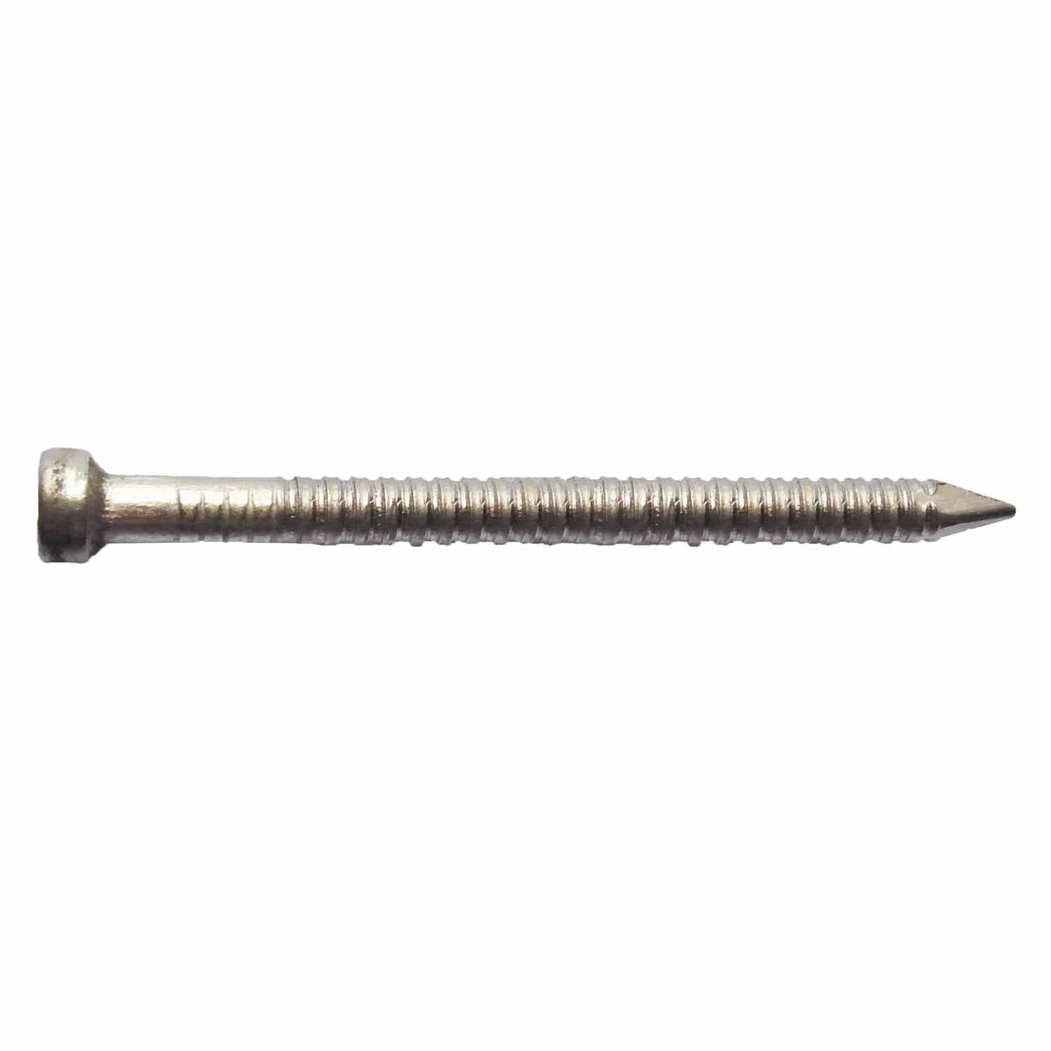 Ecko | Jolt Head Nails 75 x 3.15mm, 2kg 316 Stainless Steel | Mitre10
