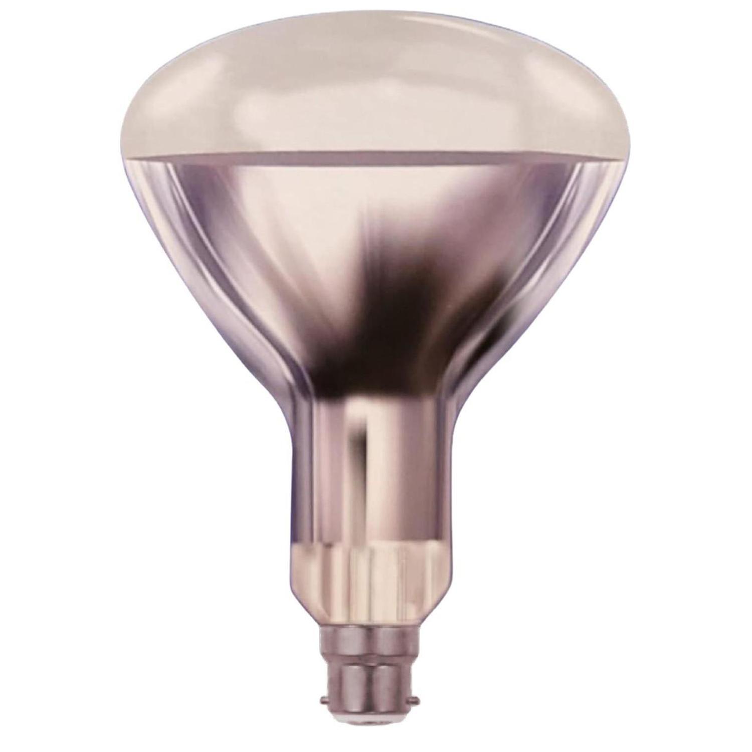 Light Bulb Infrared Heat Lamp 250 watt | Light Bulbs Incandescent