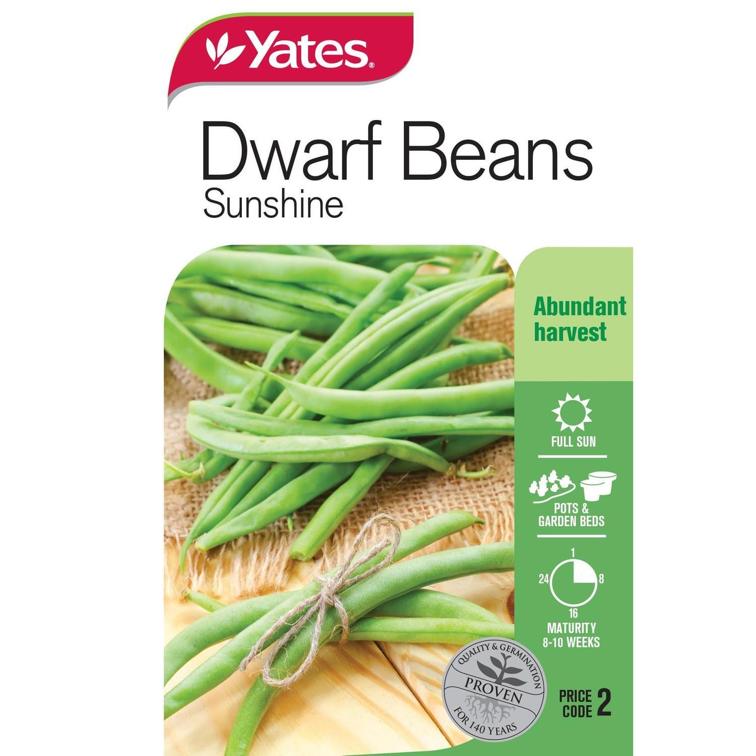 Dwarf Beans Sunshine | Fruit & Vegetable Seeds