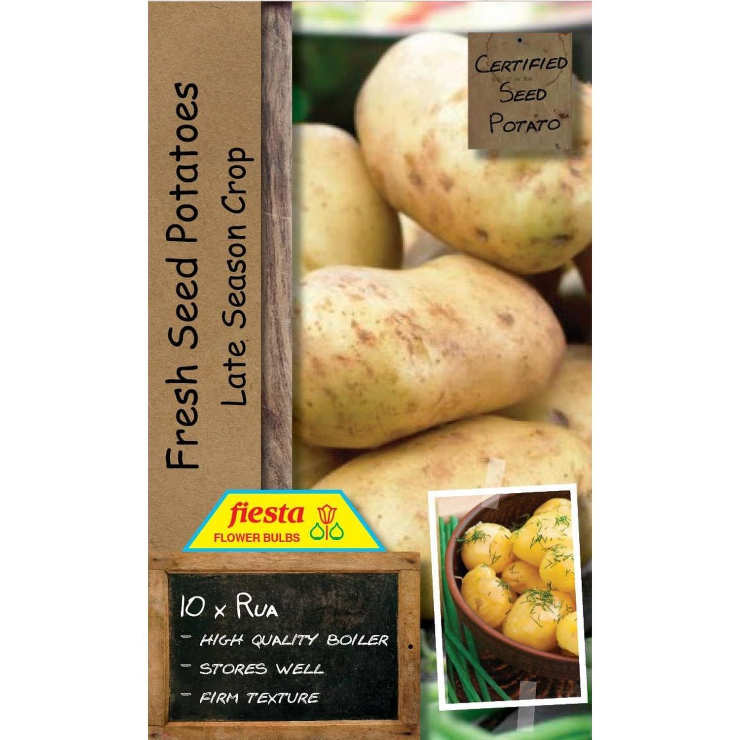 Fiesta | Seed Potato Rua 10 pack | Mitre10