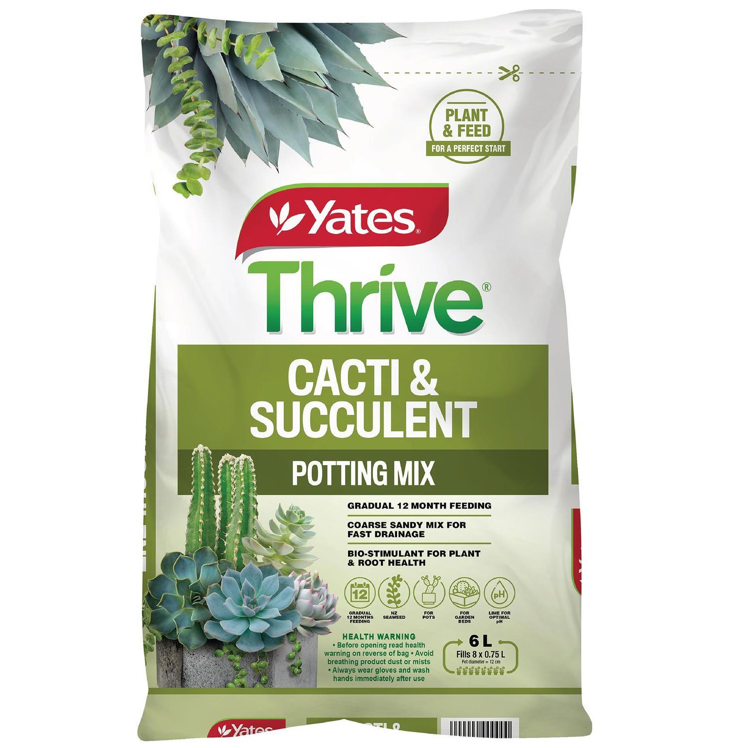Yates | Thrive Potting Mix Cacti And Succulent 6 litre | Mitre10