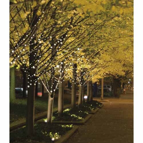 Goldair | Solar LED 4 Branch String Light 2m White | Mitre10